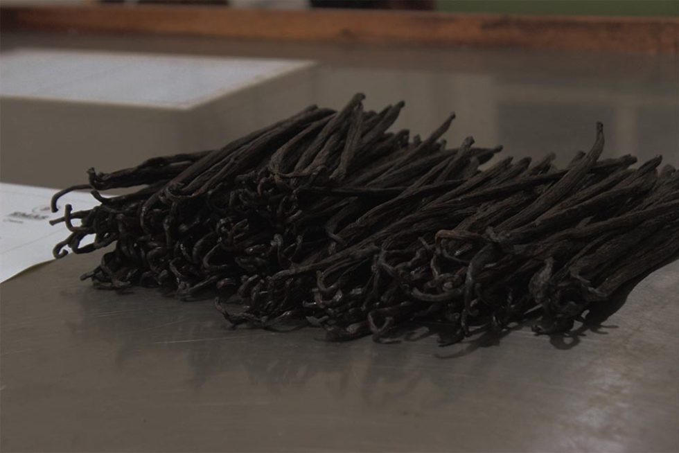The Journey Of Vanilla: Exploring Varieties And Flavor Profiles » Emas ...